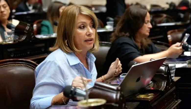 Debate en Diputados: Litza exigió respuestas por las viviendas del ...