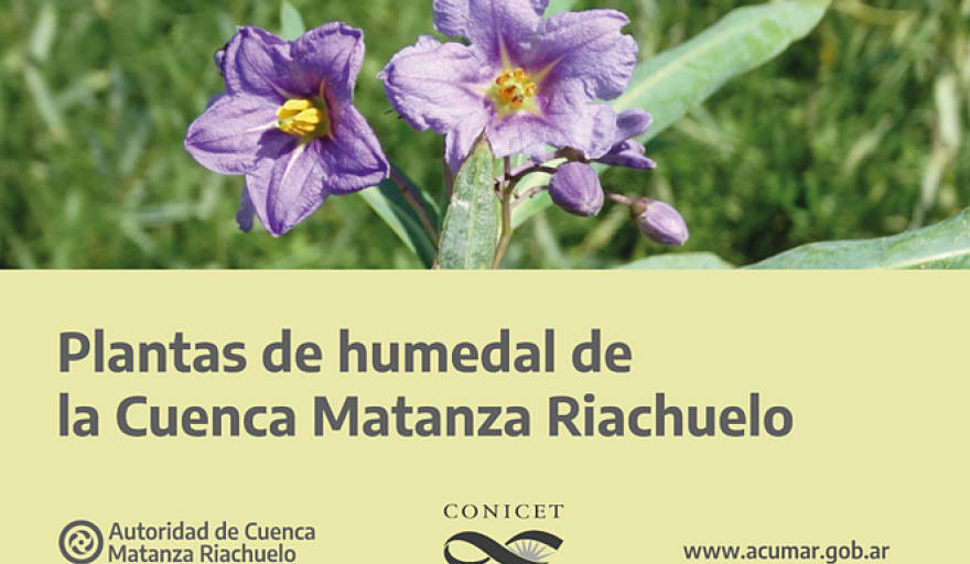 ACUMAR presentó la guía de plantas de humedales de la Cuenca Matanza ...